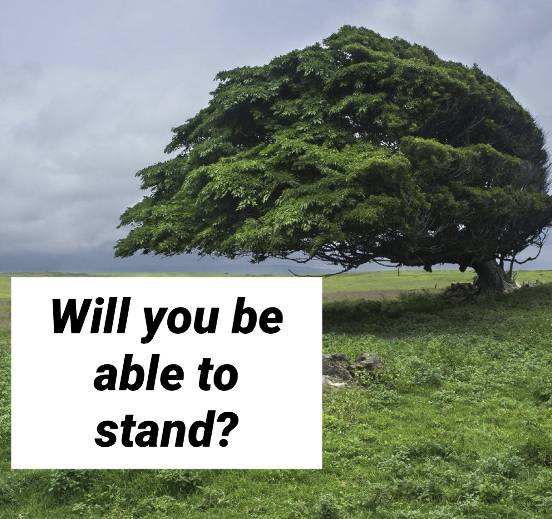 Will you be able to stand? – Kim Jaggers Ministry