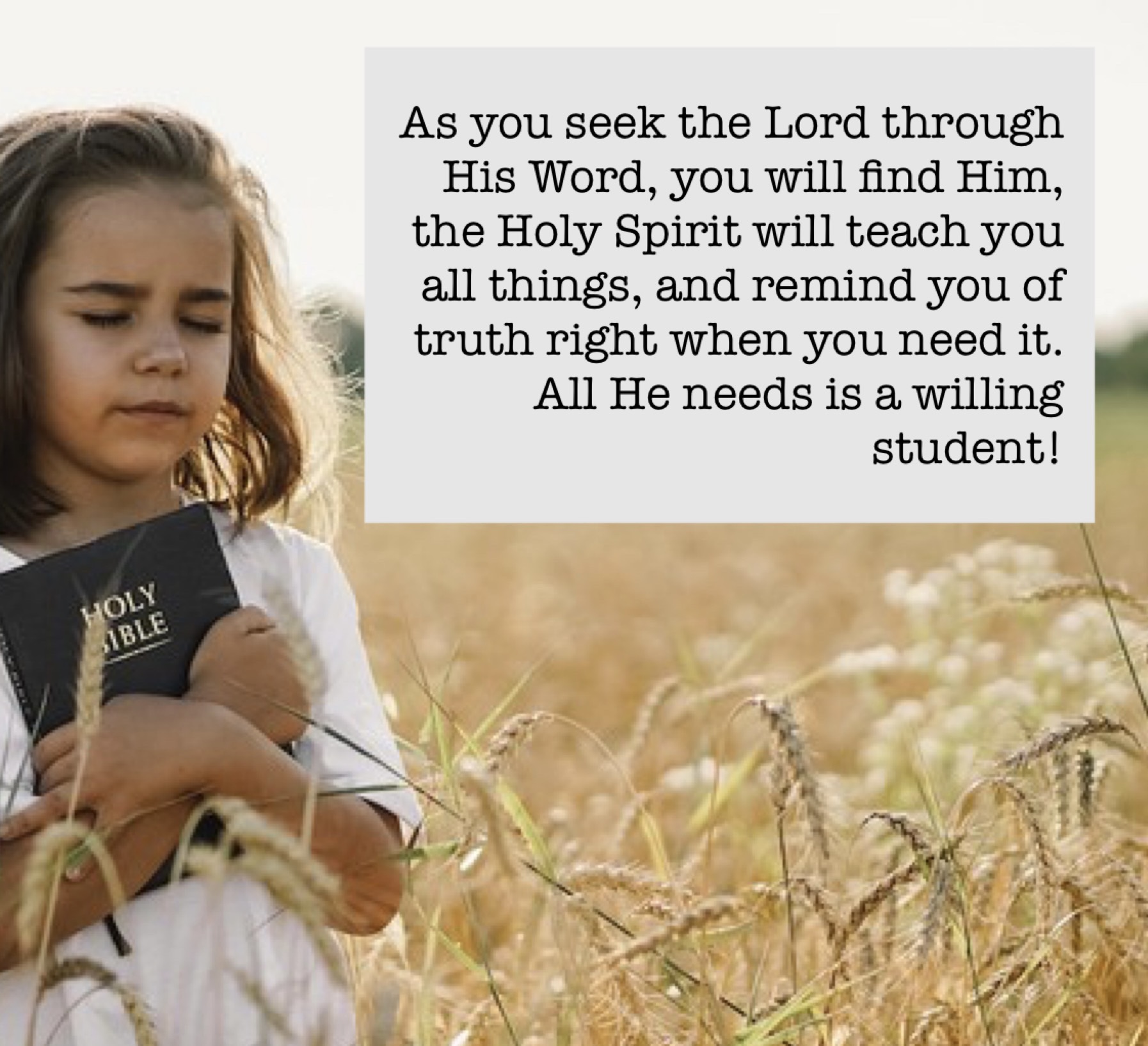 All You Need – Kim Jaggers Ministry