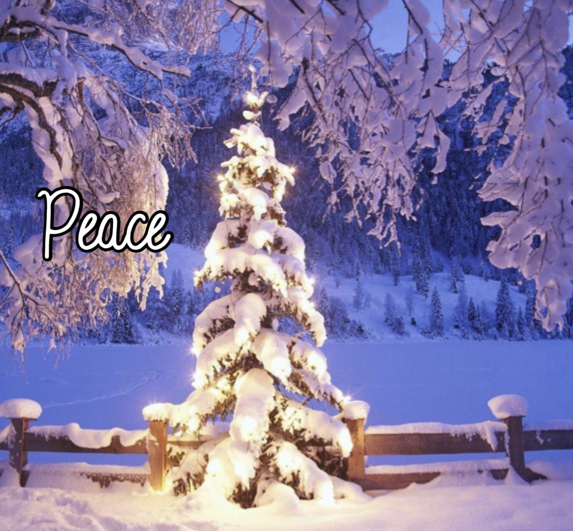 Peace of CHRISTmas – Kim Jaggers Ministry