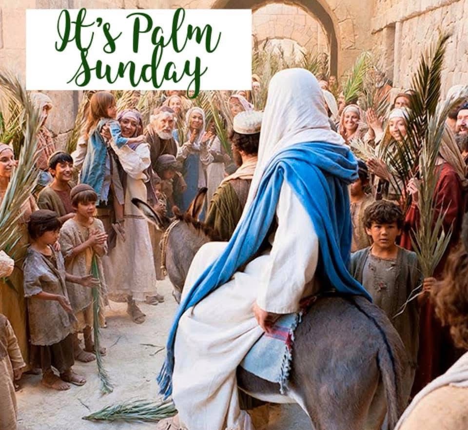 Palm Sunday. It makes no sense. – Kim Jaggers Ministry
